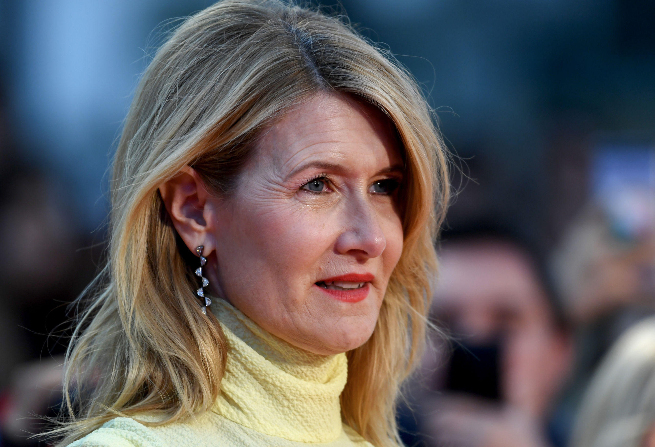La seconda vita di Laura Dern