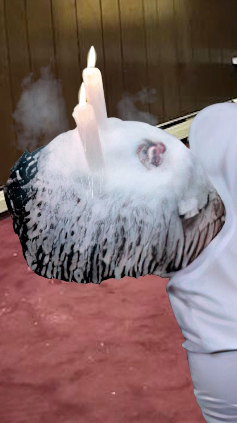 La mostra di Jon Rafman è il trip lucido di cui abbiamo bisogno