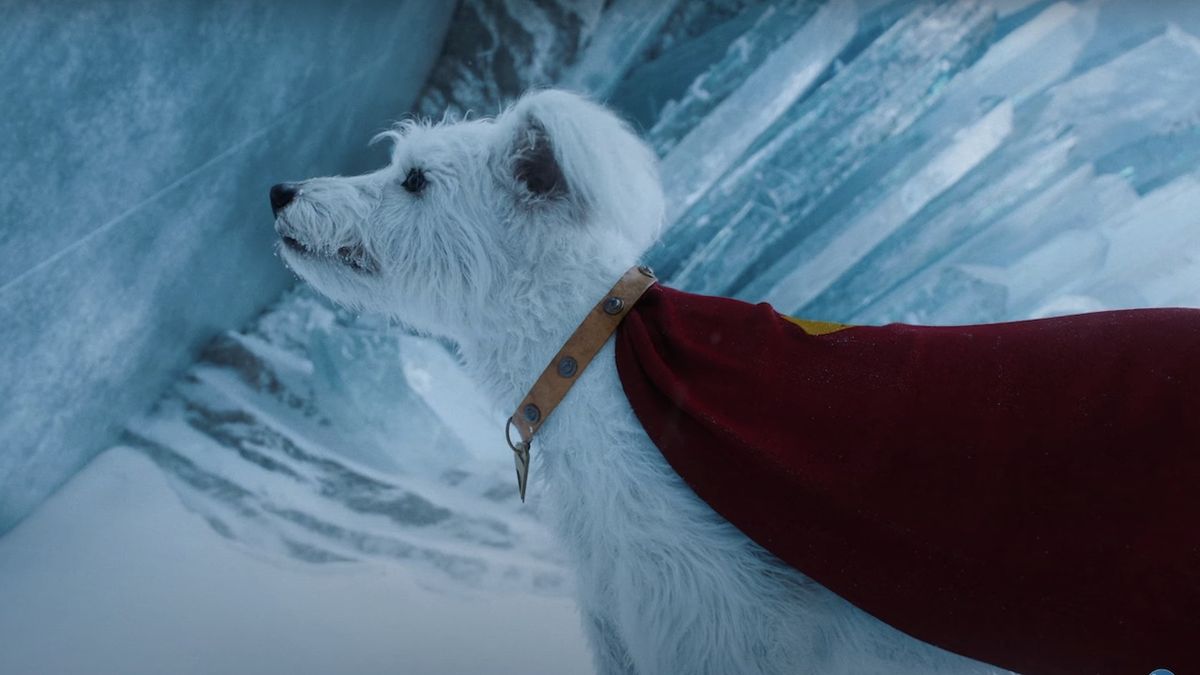 Il cagnolino Krypto di Superman è talmente adorabile che ha fatto ...