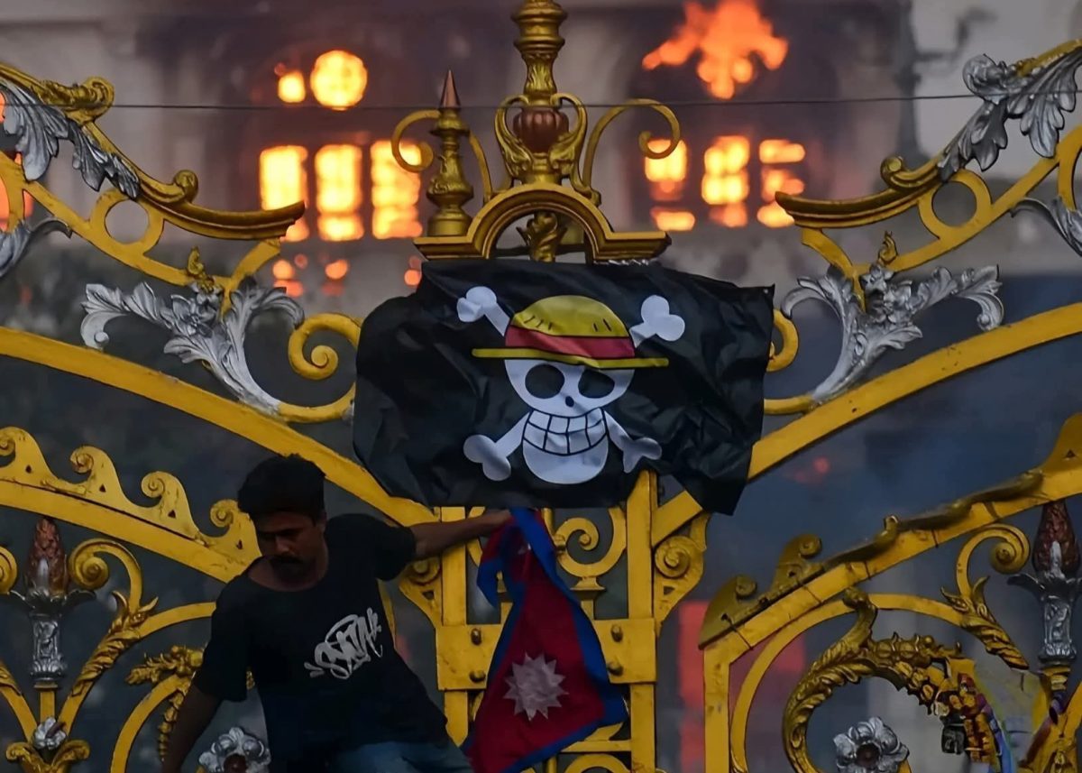 La bandiera di One Piece è diventata un simbolo di protesta in tutto il ...