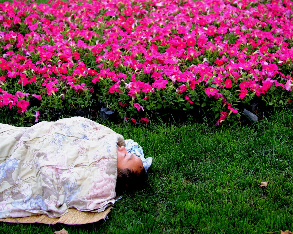 L'app più scaricata in Cina serve ad avvisare i tuoi parenti se sei ...