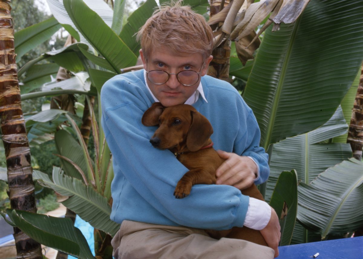 David Hockney, una vita rivoluzionata da feste, mostre e letti ...